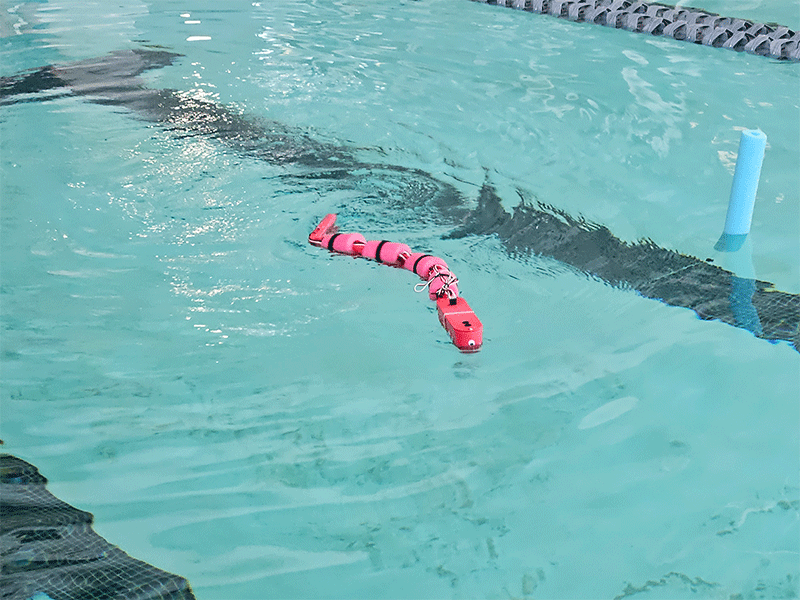 UNO Robotic Eel Camp Teaches Engineering Concepts To Middle School ...